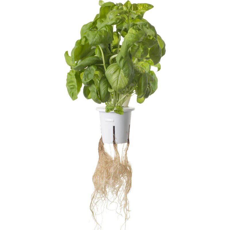 Click & Grow, Pro Plant Cups odlingskrukor 9-pack - Kitch'n